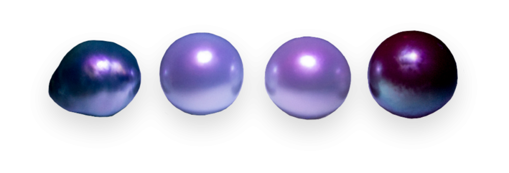 Pearl Value - Perlas del Mar de Cortez - INGLES